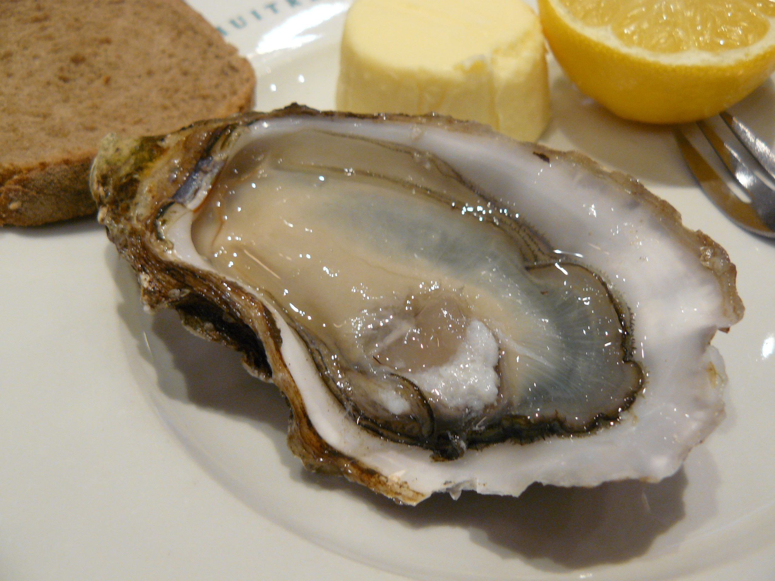 Oysters Here, Oysters There - Cornichon.org Oysters Here, Oysters There - Cornichon.org